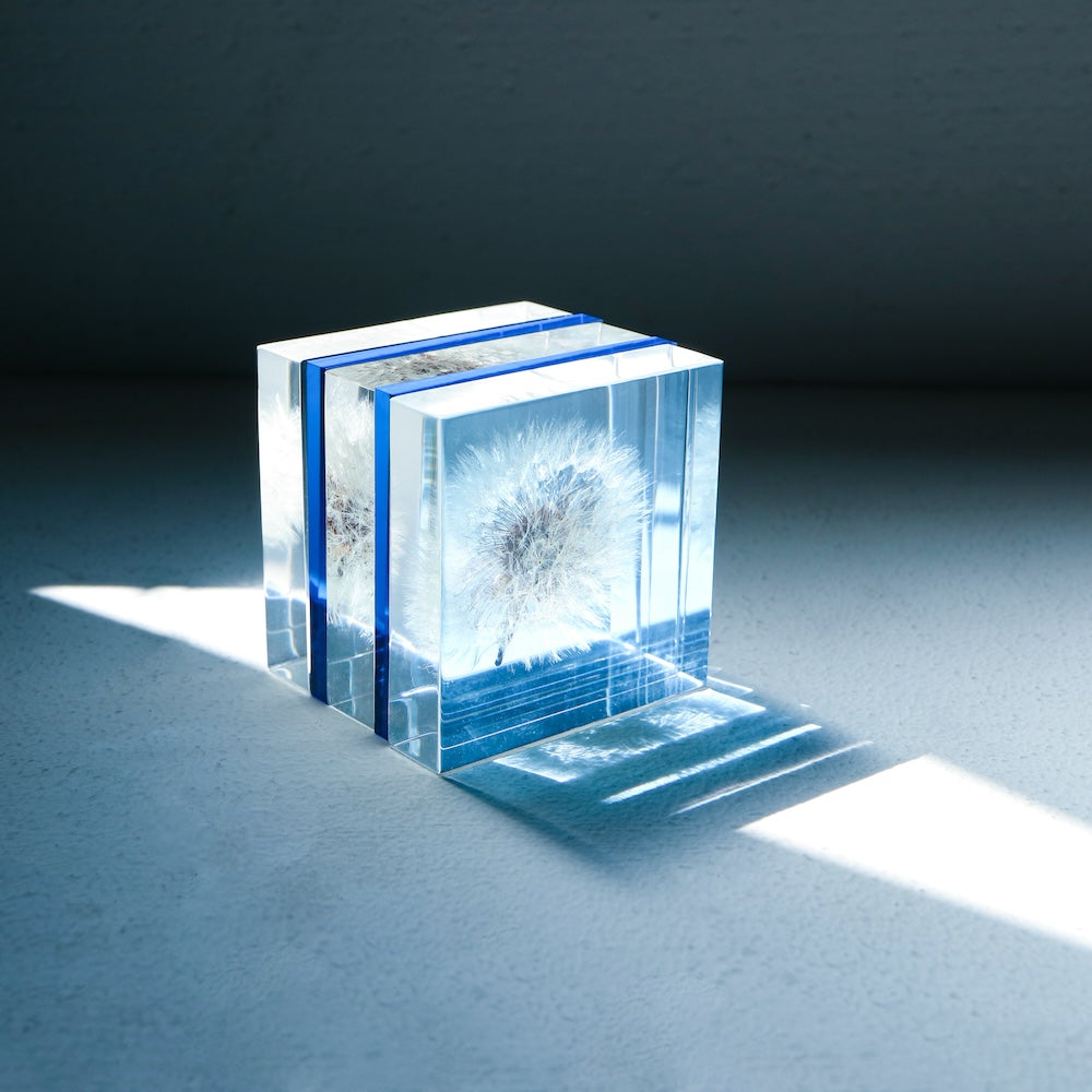 Sola cube Slice [Limited Color] – Usagi no Nedoko