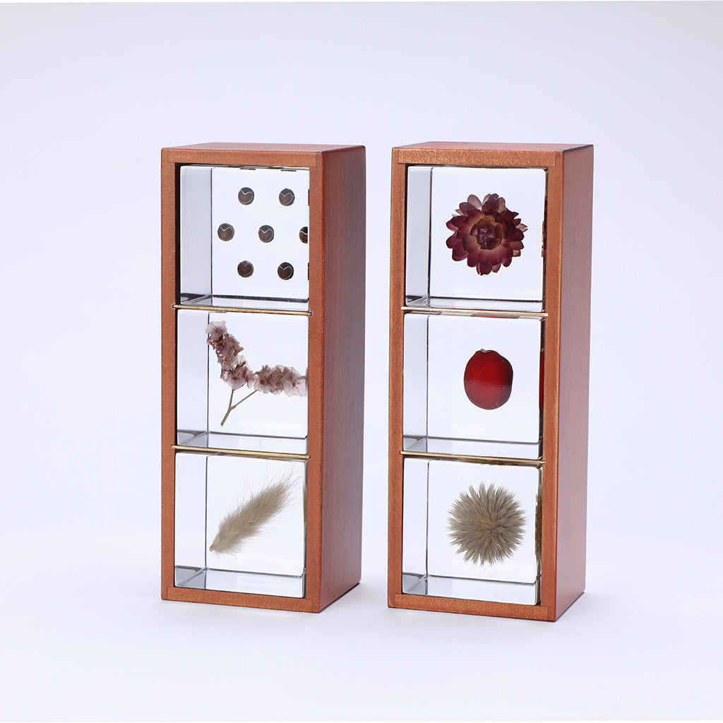 3 Sola cubes set with display case (A) – Usagi no Nedoko