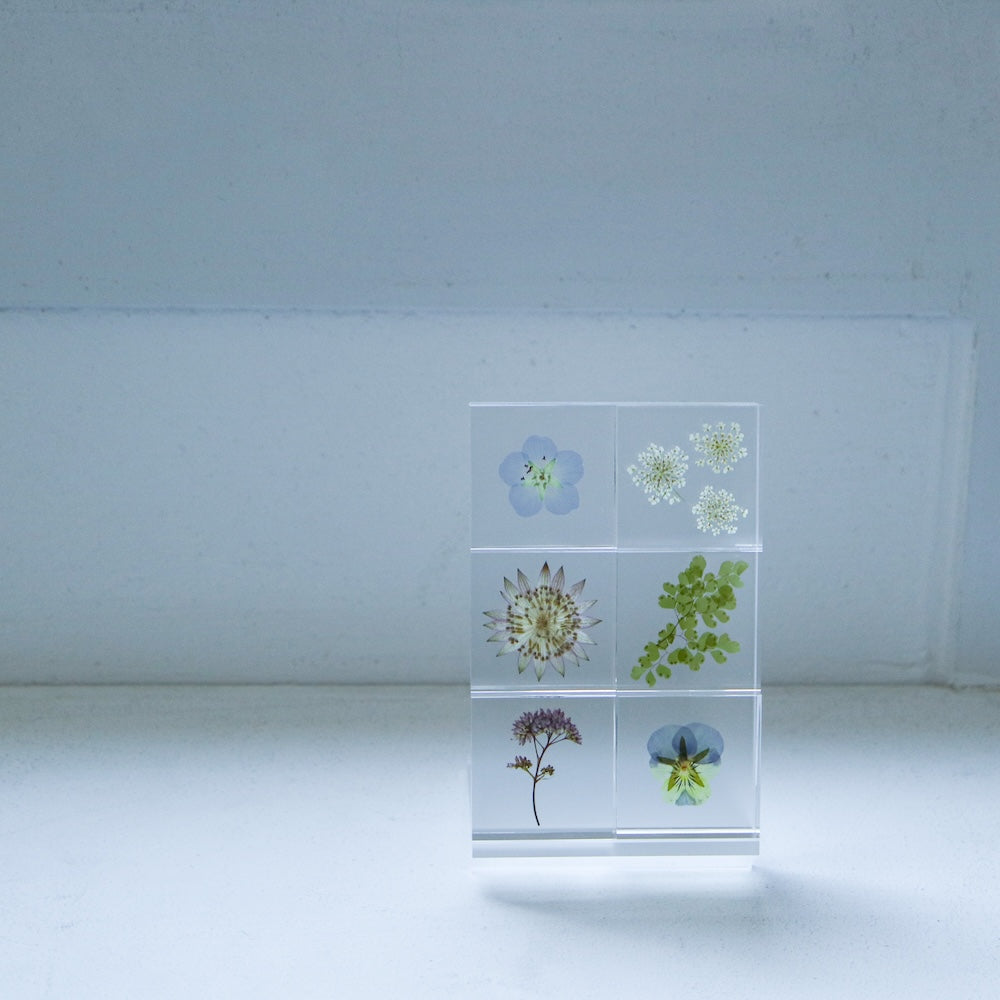 Specimen Plate Stand – Usagi no Nedoko