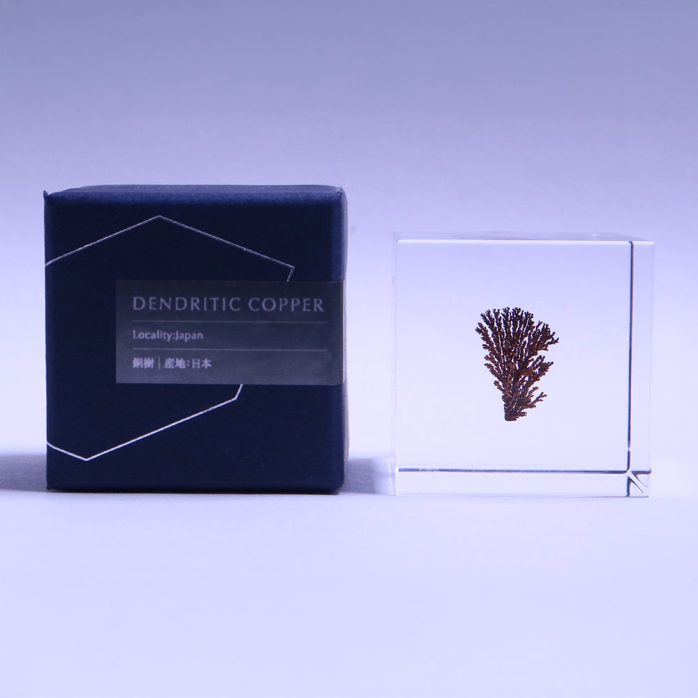 Dendritic copper – Usagi no Nedoko